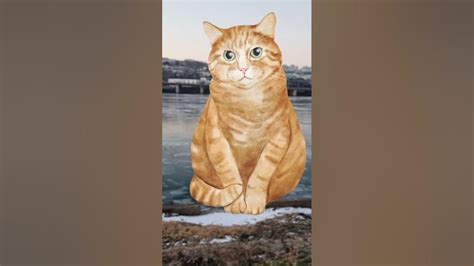 꽁꽁 얼어붙은 한강 위로 큼미굼미가 걸어다닙니다 Youtube