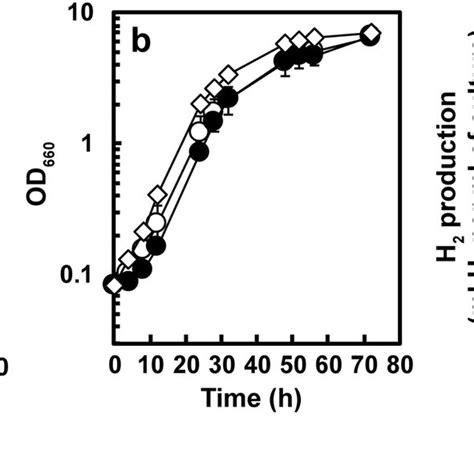 Photoheterotrophic Growth Of R Sphaeroides Strains Harboring Multicopy