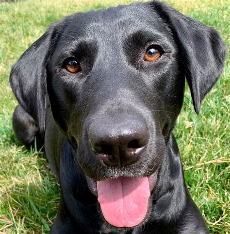 Paschal Events Charlotte Nc