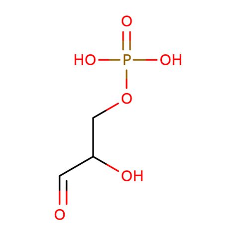 D Glyceraldehyde 3 Phosphate 10 Mgml Aqueous Solution