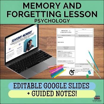Memory And Forgetting Psychology Editable Google Slides TPT