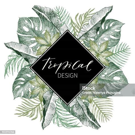 열 대 야 자 나뭇잎 정글 라운드 몬스 테라 코코넛 잎으로 그림 디자인 서식 파일입니다 텍스트에 대 한 장소를 가진 높은 상세한