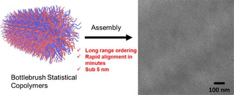 Ultrafast Self Assembly Of Bottlebrush Statistical Copolymers Well Ordered Nanostructures From