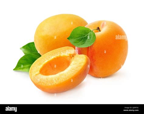 Apricot Fruit With Half Of Apricot And Apricot Kernel Isolated On White