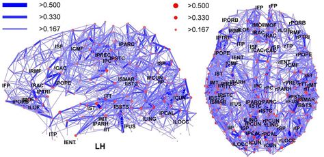 Neuronal Connections And The Mind The Connectome Jon Lieff M D