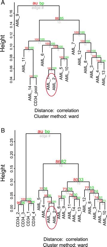Inv16 Methylation And Expression Cluster A Hierarchal Dna Download Scientific Diagram