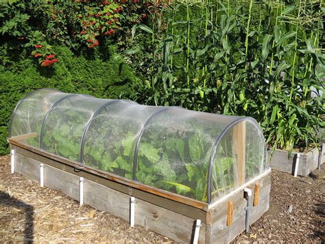 Insect Netting Vegetables At Carol Walsh Blog