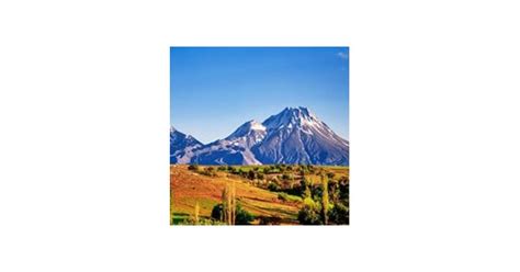 Zeynep Koseoglu Alp Obituary 2022 Miami Fl Memorial Plan