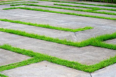 Green Grass Grows Through Concrete Pathways In Unique Maze Design Stock