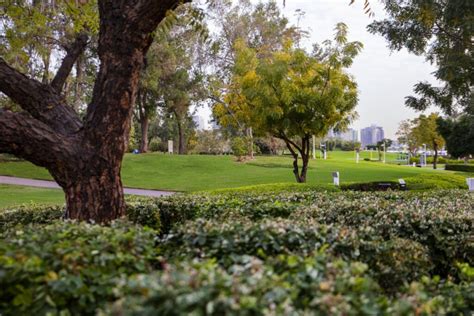 Services Construction Orient Irrigation Services Llc