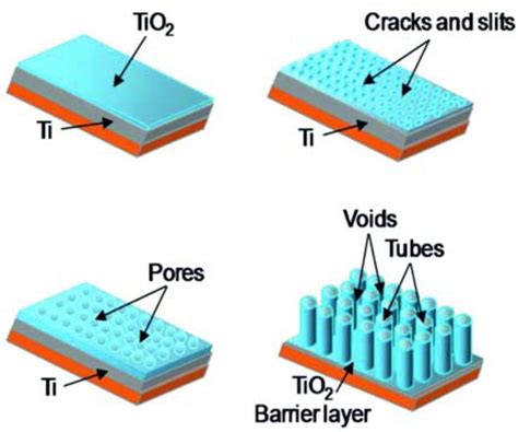 Sensors Free Full Text Tio2 Nanotubes Recent Advances In Synthesis And Gas Sensing Properties