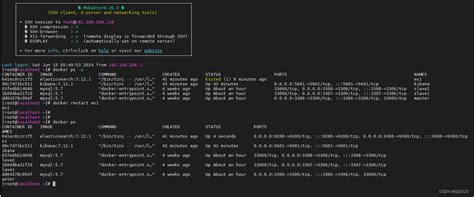 elasticsearch 安装踩坑！ unable to start container process error during co