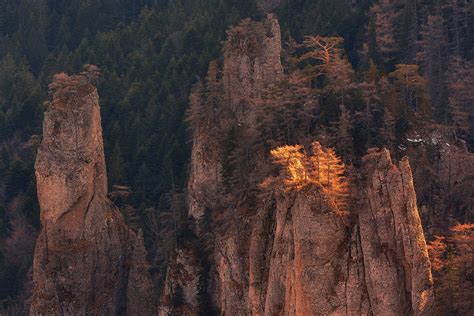 Munteanu Robert Bogdan • Fotogeografica