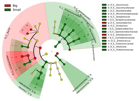 Ijms Free Full Text Effect Of Fermentation Scale On Microbiota Dynamics And Metabolic