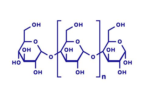 Polysaccharide Tất Tần Tật Về Định Nghĩa Cấu Trúc Và Ứng Dụng