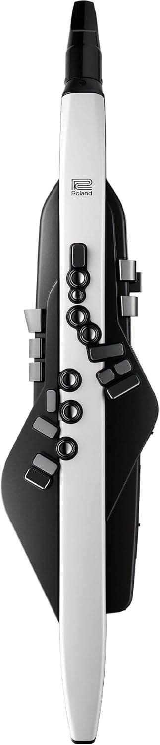 Roland Aerophone Ae 20 Digital Wind Instrument User Manual