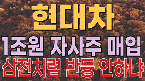 현대차 주가분석 1조원 자사주매입 주가는 윗꼬리 고환율 호재 대응법 쌍끌이 매수 외국인 매수 기관 매수