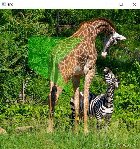 Python常用遥感模块rasterio与rioxarray的安装与使用