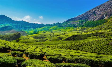 Best Places To Visit In Munnar Hill Station In Kerala Bon Travel India