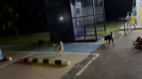 Research Object Detection Model By Research