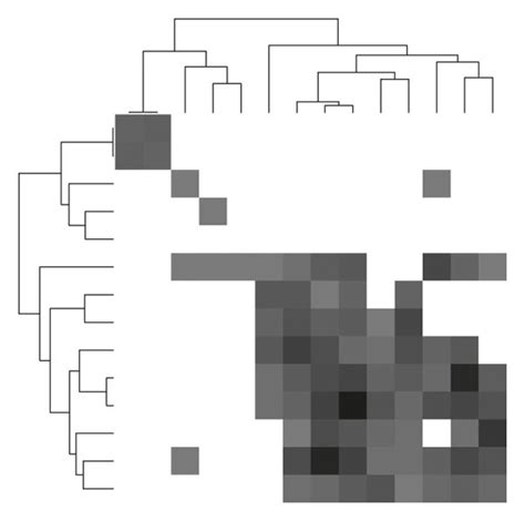 Clustered Adjacency Matrices Of Social Communication Networks From