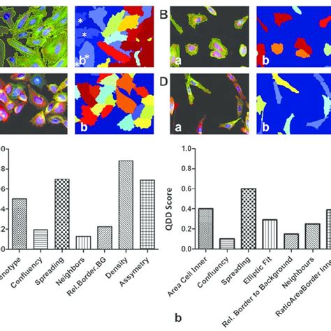 Influence Of Cell Evaluation Metrics On The Classification Sensitivity