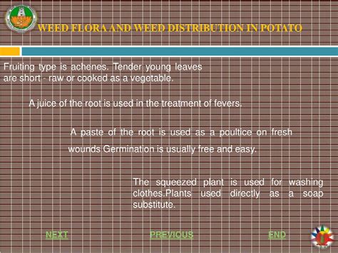 PPT WEED FLORA AND DISTRIBUTION IN POTATO PowerPoint Presentation Free Download ID 7083400
