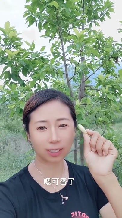 村子里每天都有集市 定位不是很精准 到村子口往上走熱門 搞笑 自驾游 Youtube