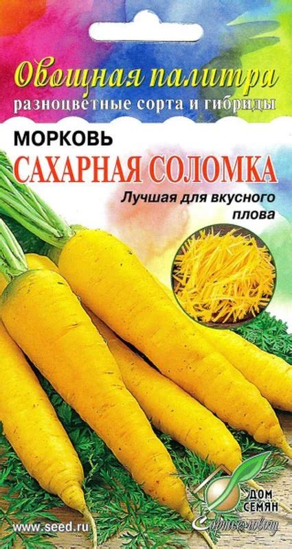 Семена Морковь сахарная соломка: описание сорта, фото - купить с ...