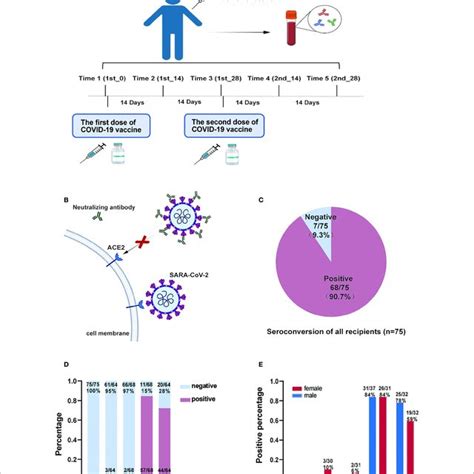 The Relationship Between Age And Nab Titer Levels A Comparison Of Download Scientific