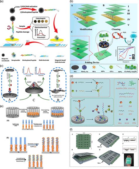 A Scheme Of The Peptide Magnetic Bead Biosensor For Staphylococcus