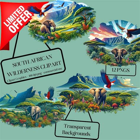 South African Wildlife Png Clipart Bundle Elephant And Eagle Digital