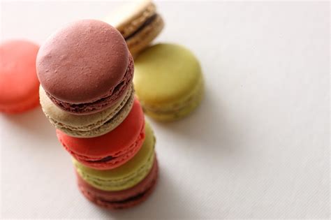 Jquery【 Append 】テキストや要素の追加 プログラマカレッジ