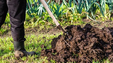Compost Vs Fertilizer Differences And Garden Uses
