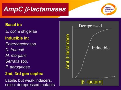 Ppt Ampc B Lactamases And Their Detection Powerpoint Presentation Id3412980