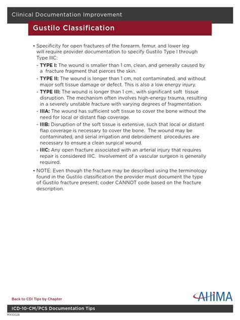 Gustilo Classification Pdf Pdf