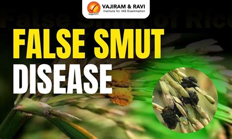 Dark Matter Meaning Significance Dark Energy Latest News