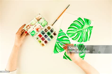 식물 잎의 아쿠아렐 그림을 스케치하는 여성의 손 수채화 물감과 브러쉬 평면도 개념에 대한 스톡 사진 및 기타 이미지 개념 개체 그룹 공란 Istock