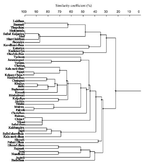 A Dendrogram Showing Relationship Among 48 Different Rice Varieties
