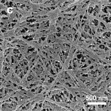A Schematic Illustration Of The Surface Modification Process Of The Download Scientific
