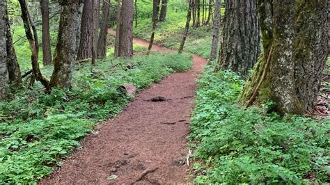 The Journey Part 1 Youtube