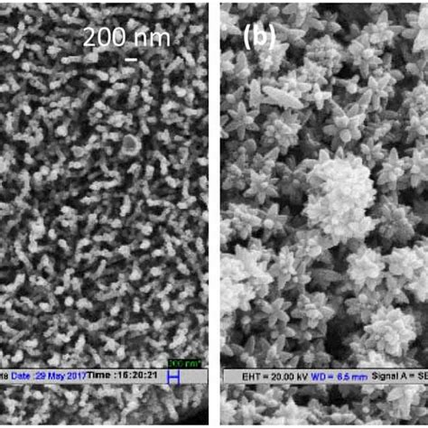 Fesem Image Of A Tio2 Nanostructure Prepared Using 30 H2o2 And B Download Scientific