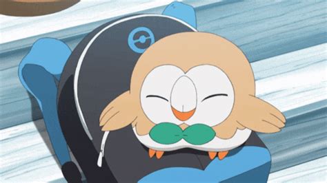Rowlet GIFs Find Share On GIPHY