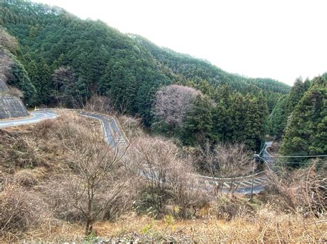 足利〜越床峠旧道〜須花峠旧道〜館林ぶらり旅 ミニベロ迷走記