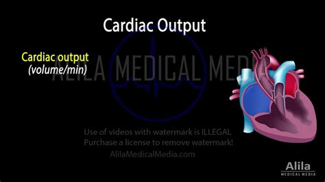 Alila Medical Media Cardiac Output Stroke Volume Edv Esv Ejection Fraction Narrated