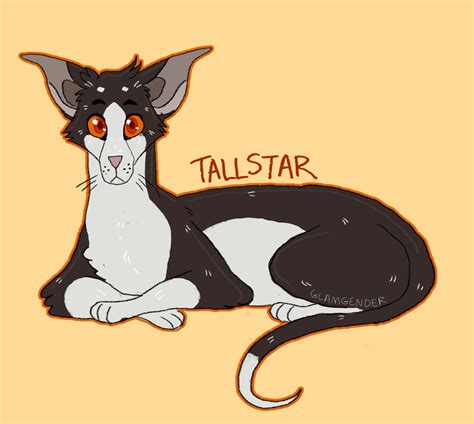 Tallstar Warriors