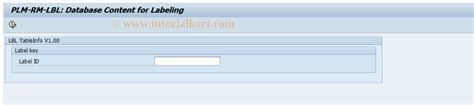 RMSLTABLEINFO SAP Tcode Data Analysis Report For Labeling Transaction
