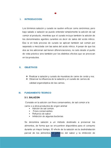 Curado De Carnes Pdf Curado Conservación De Alimentos Sal