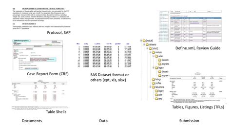 Introduction To Clinical Sas Programming