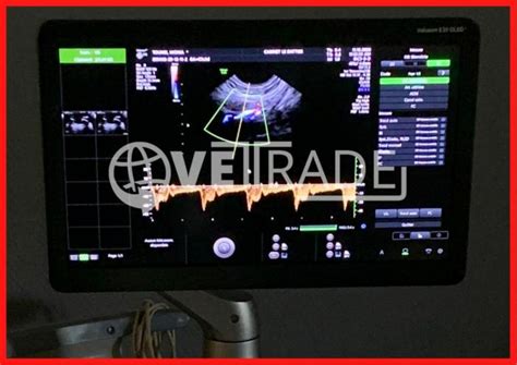 Refurbished Ge Voluson E10 For Sale Item 2047916 Bimedis